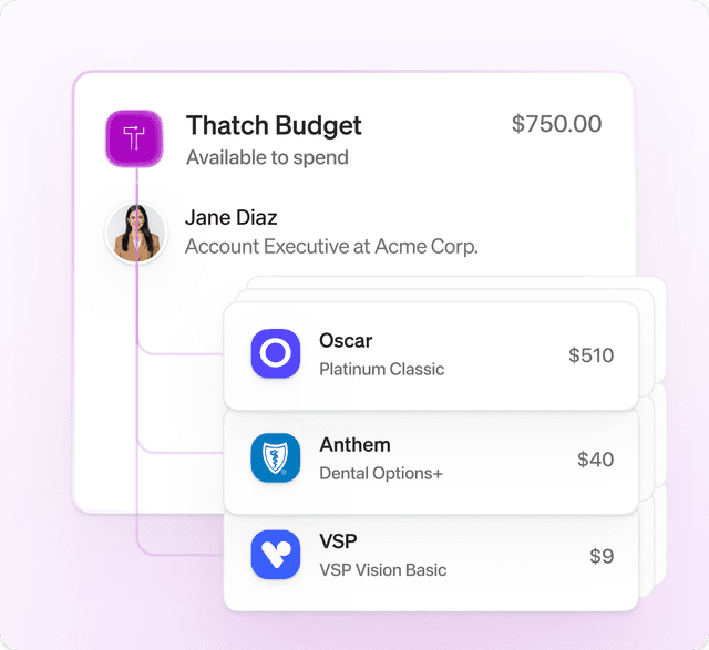 Offer the healthcare experience your employees deserve | Thatch