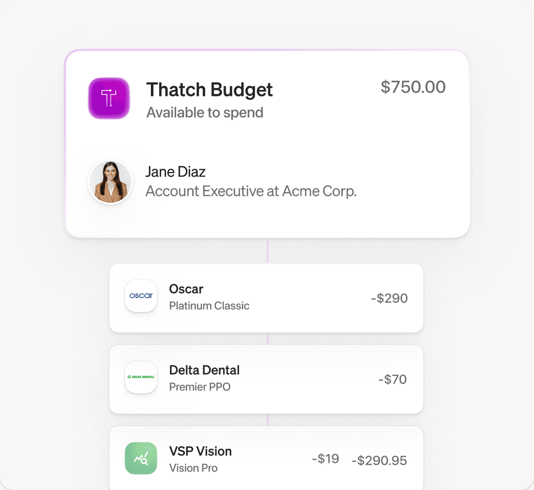 Offer the healthcare experience your employees deserve | Thatch