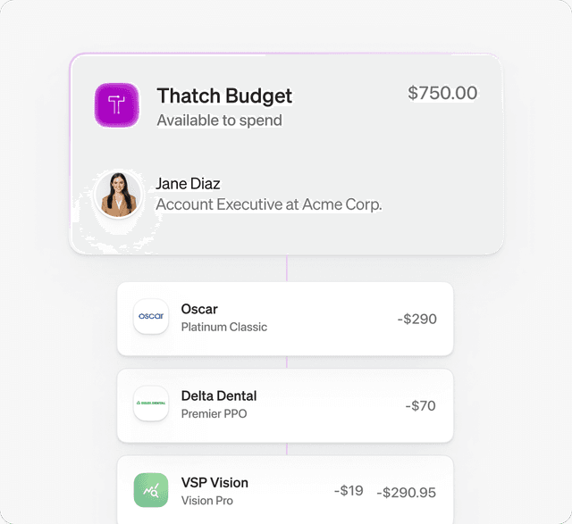 Offer the healthcare experience your employees deserve | Thatch